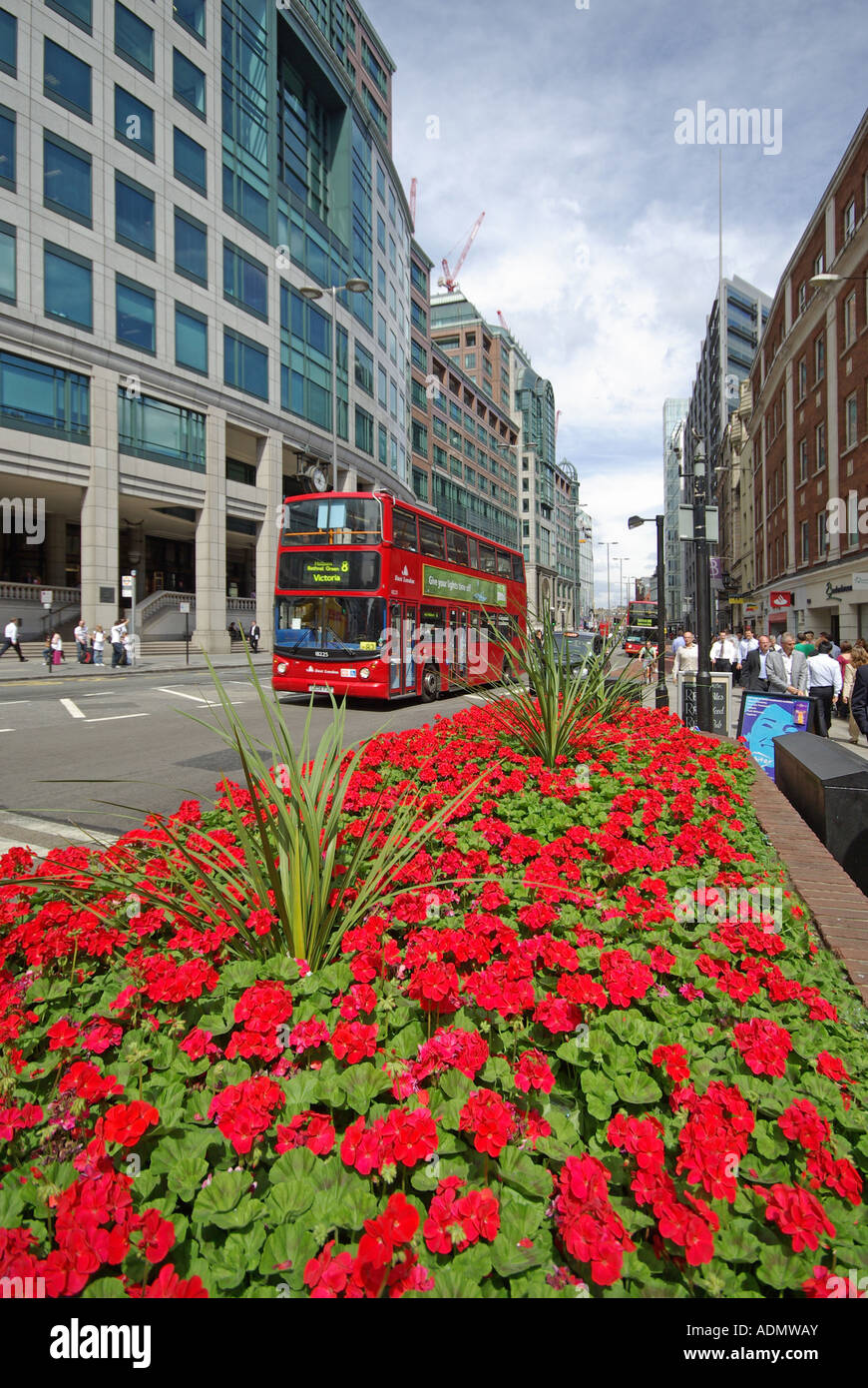 Summer bedding colour hi-res stock photography and images - Alamy