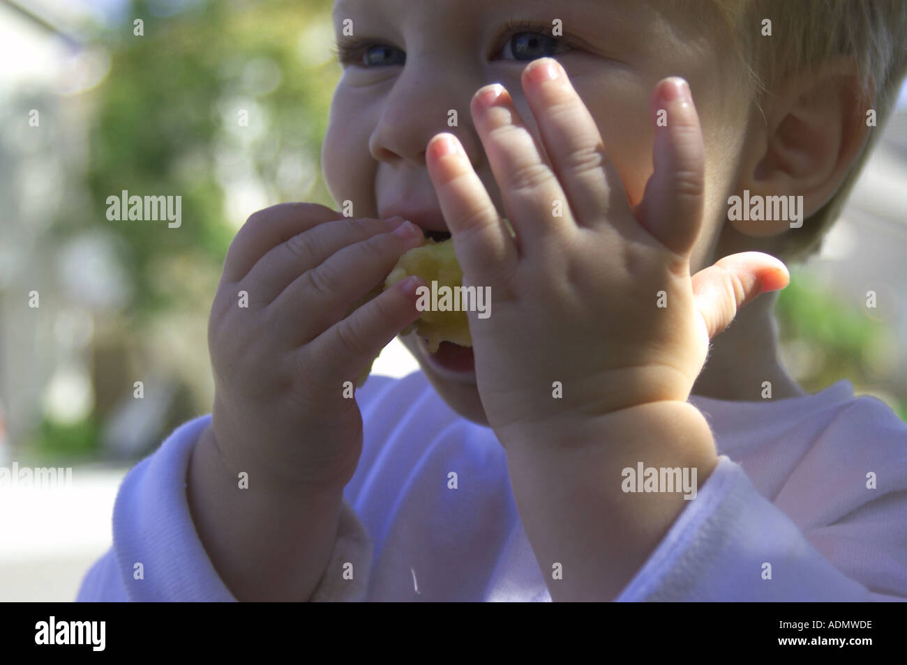 toddler eating apple Stock Photo - Alamy