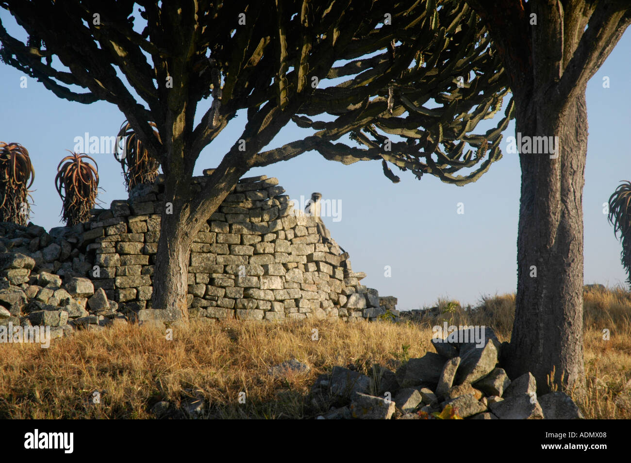 Ruins of Great Zimbabwe Stock Photo - Alamy