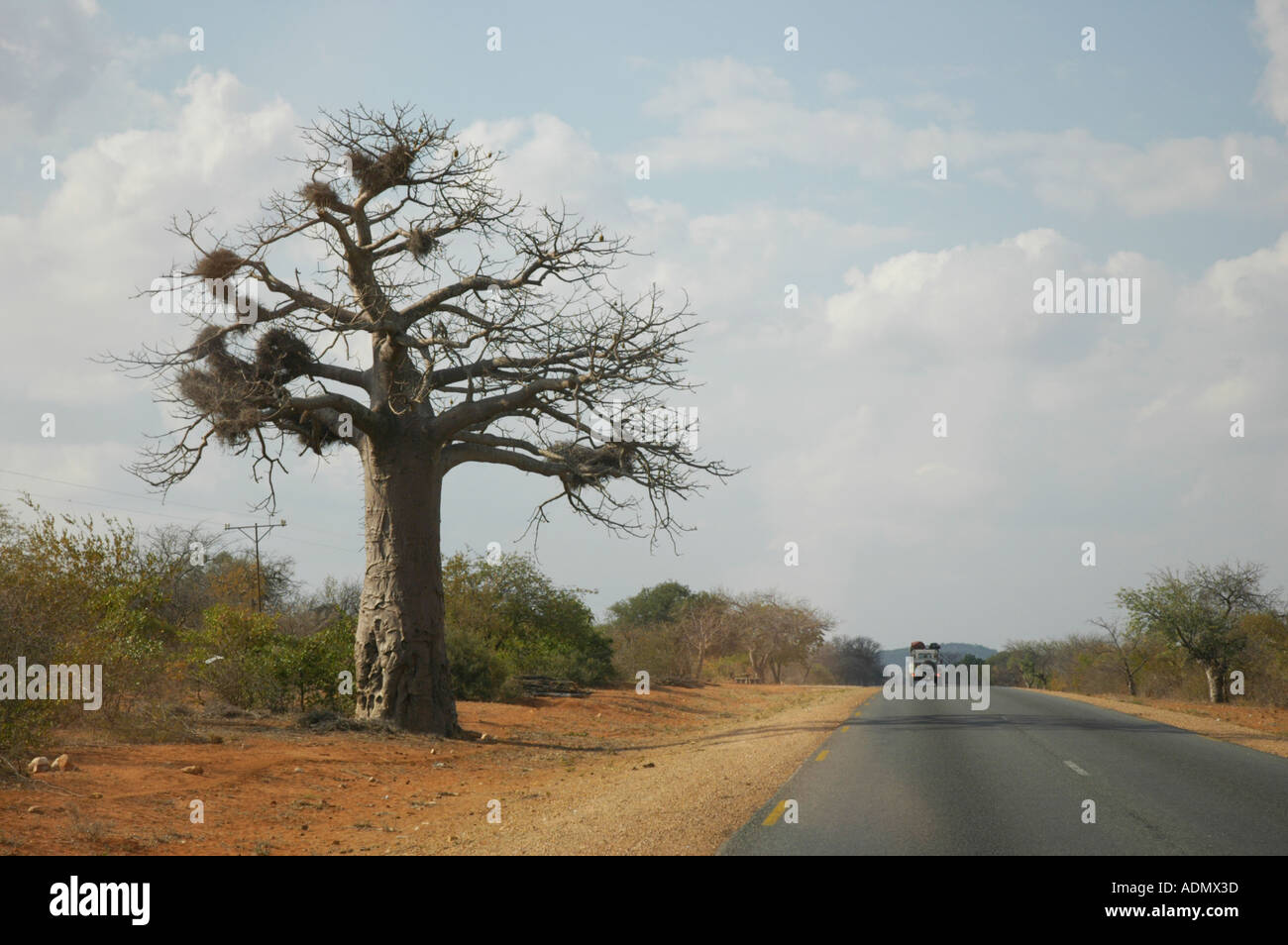 Baobob tree hi-res stock photography and images - Alamy