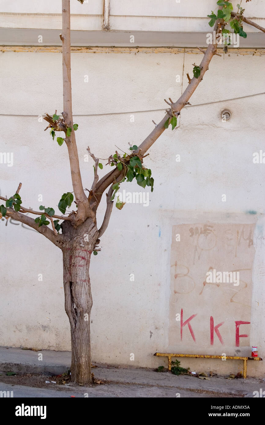 Kkf hi-res stock photography and images - Alamy