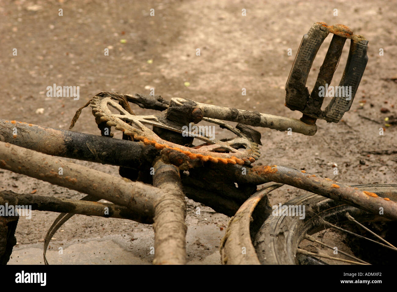 Old discarded bicycle Stock Photo - Alamy