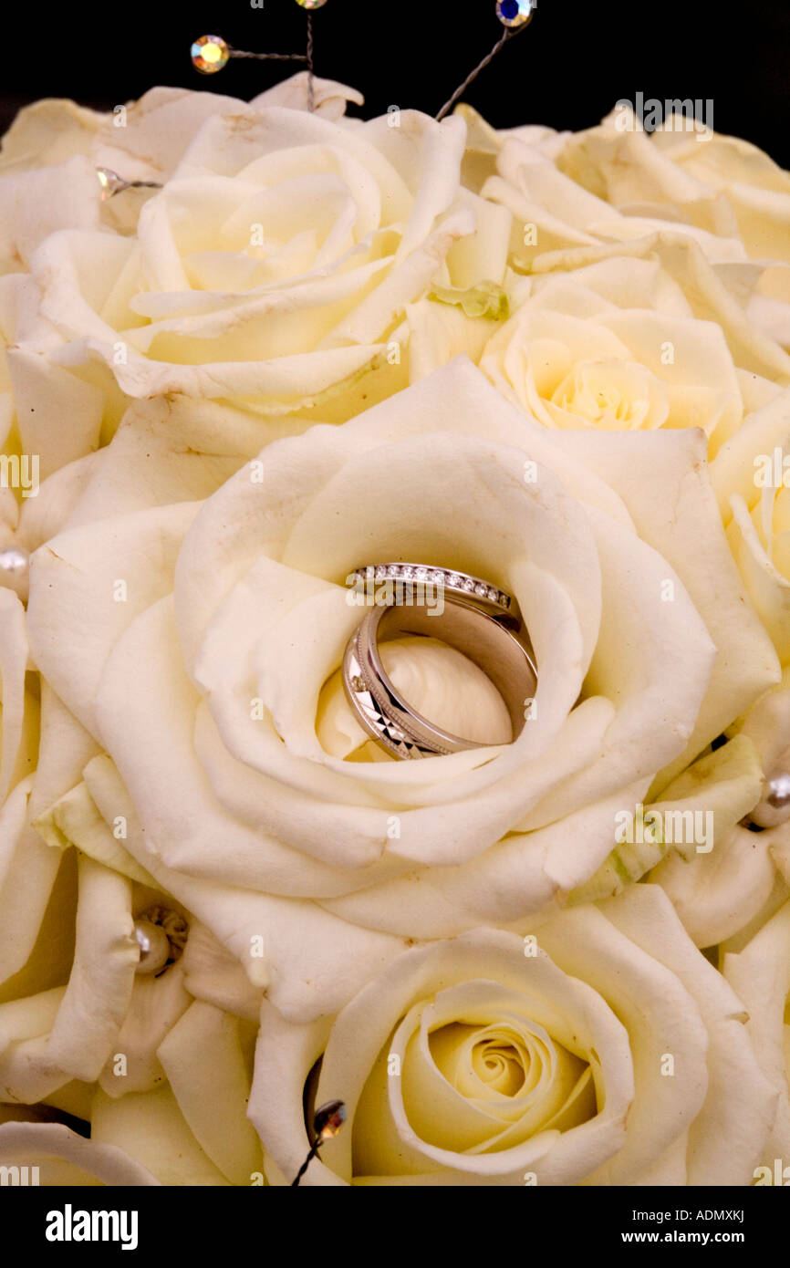 Wedding rings of the bride and groom lying inside white rose of the ...