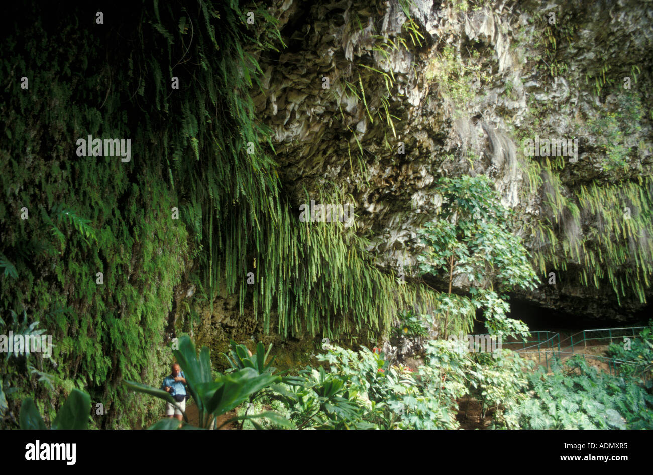 Fern grotto the Natural Lava Rock Amphitheatre on the Wailua River ...