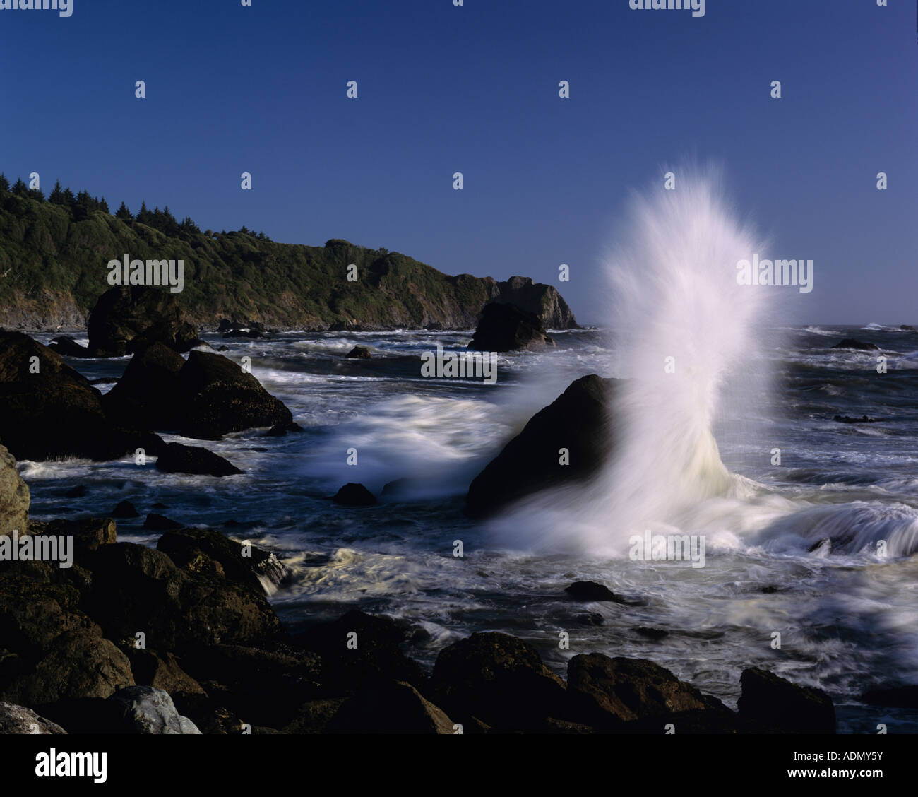 Patrick’s point state park hi-res stock photography and images - Alamy