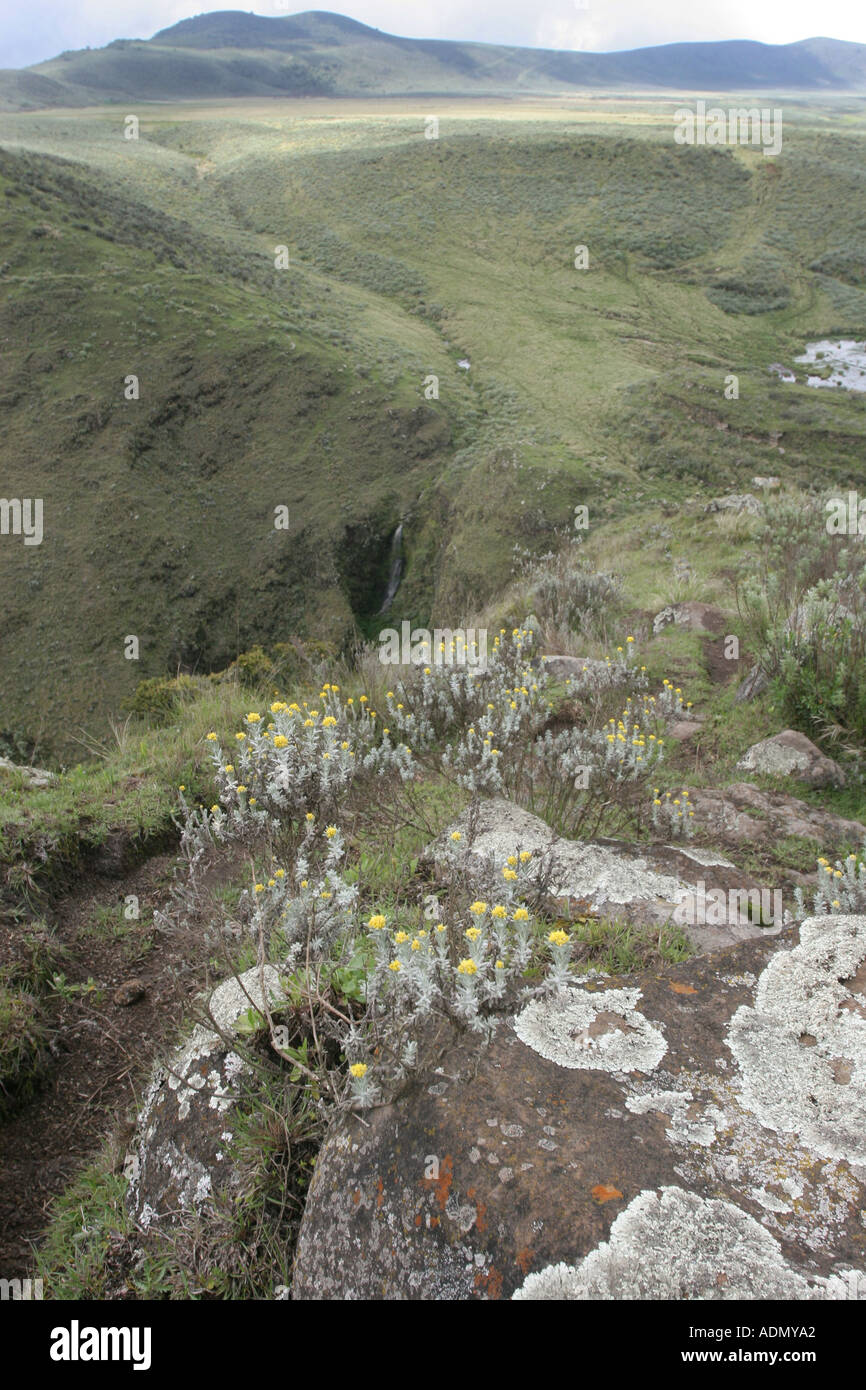 olmoti crater volcano Stock Photo - Alamy