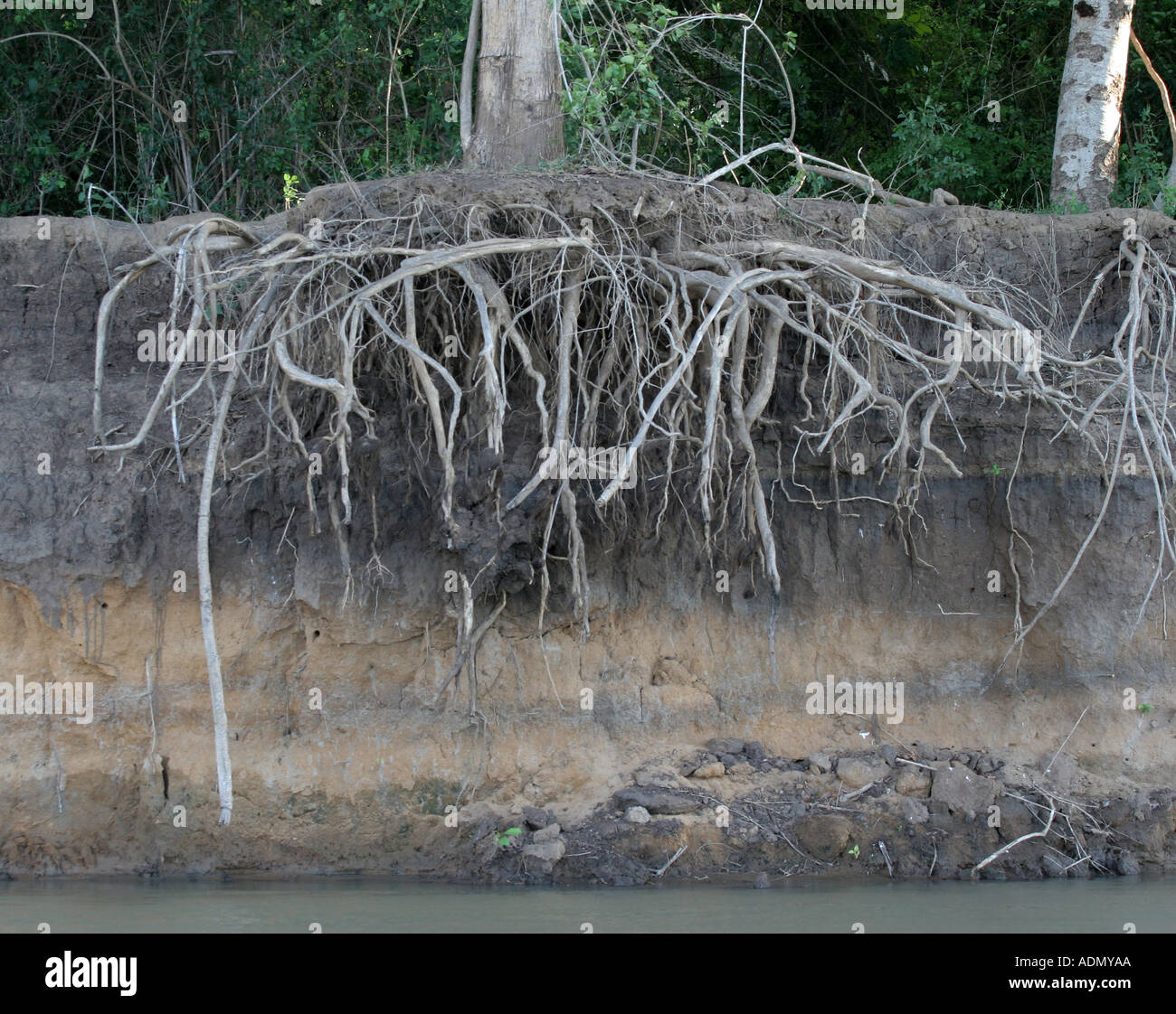 Erosion of the river bank hi-res stock photography and images - Alamy