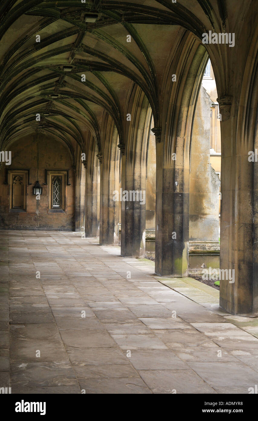 Cloisters cambridge university england hi-res stock photography and ...