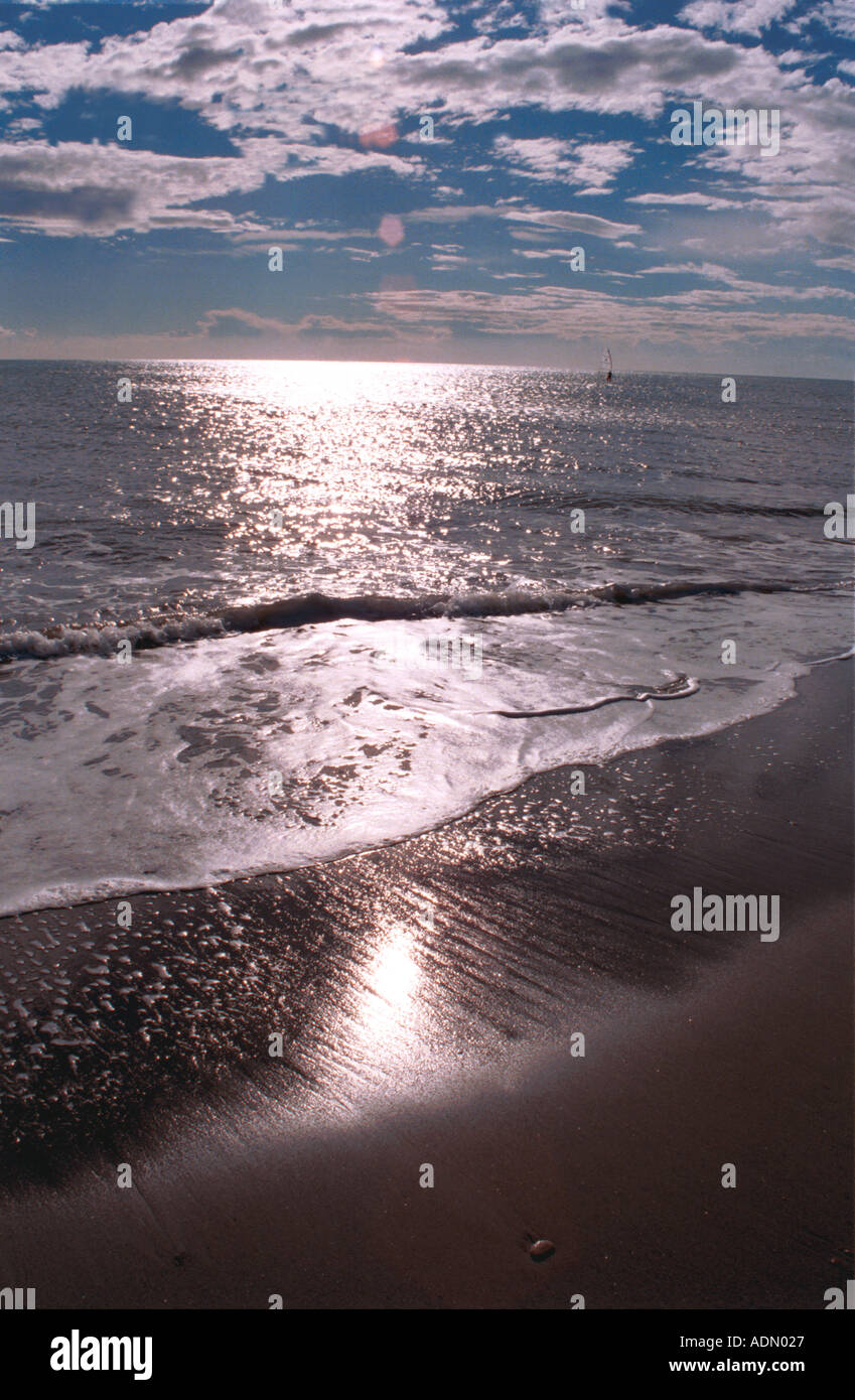 Wave coming in shore new hi-res stock photography and images - Alamy