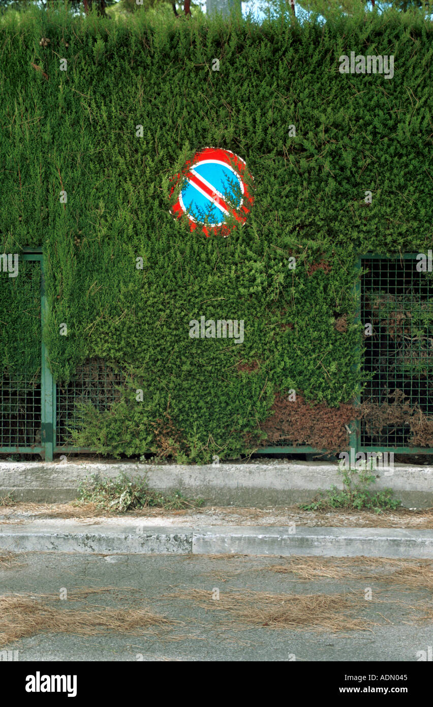 no parking sign covered in bush Stock Photo - Alamy