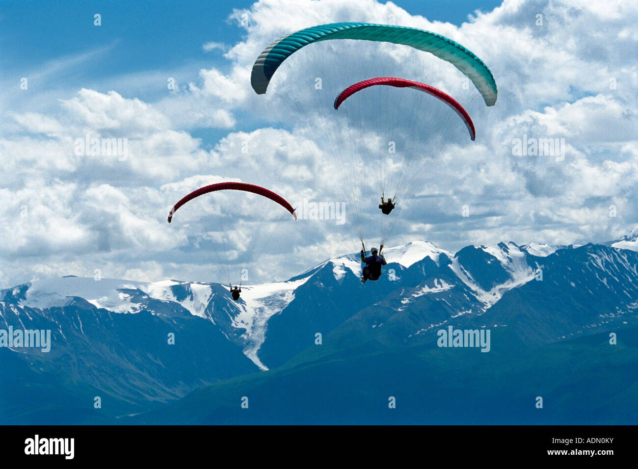 Paragliders in flight. Altai. Siberia. Russia Stock Photo - Alamy