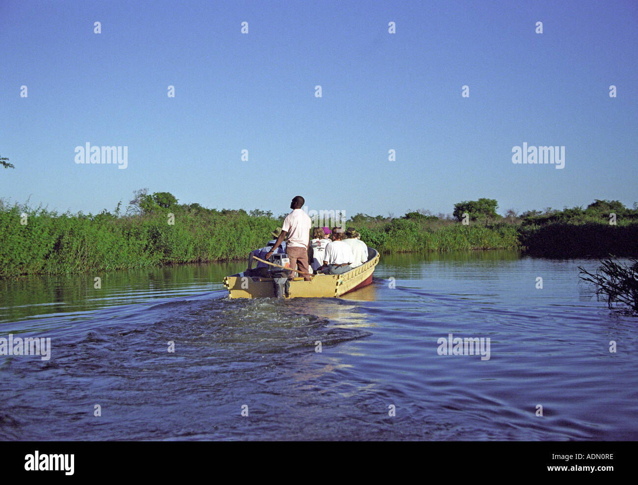 CROOKED TREE WILDLIFE SANCTUARY BELIZE CENTRAL AMERICA August Group of ...