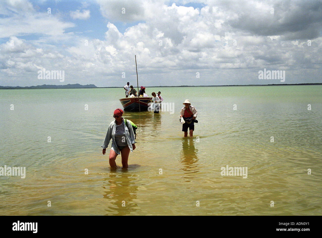 GALES POINT BELIZE CENTRAL AMERICA August Wading ashore for lunch the ...
