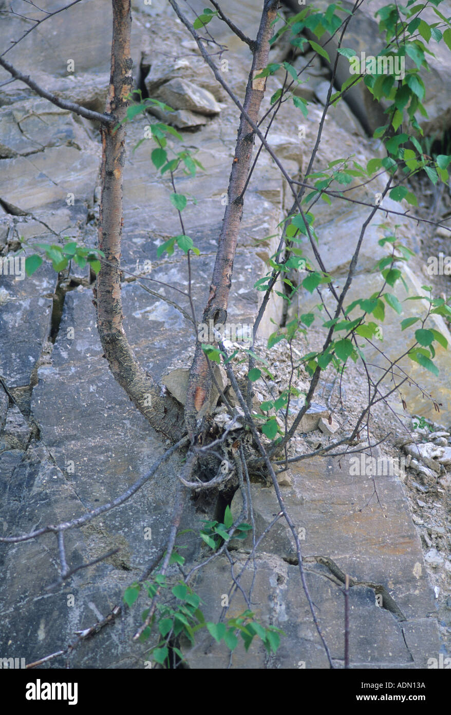 Out of rock hi-res stock photography and images - Alamy