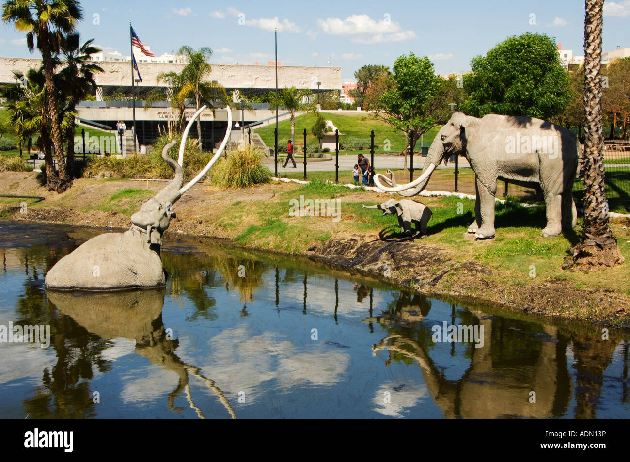 USA Los Angeles Hollywood model elephants in the La Brea Tar Pits Stock ...