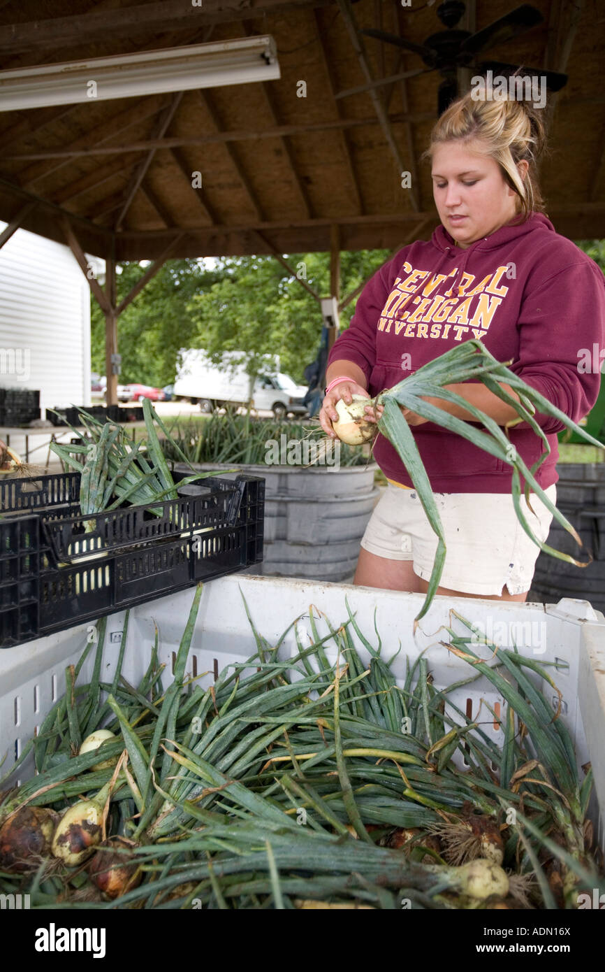 Community supported agriculture hi-res stock photography and images - Alamy