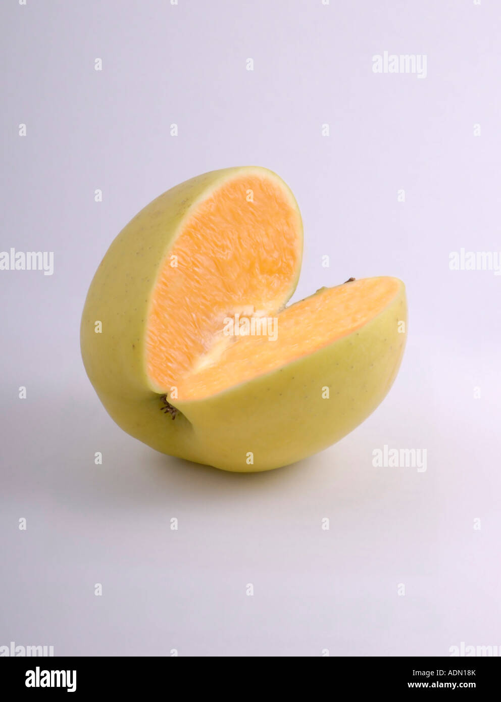 Comparison concept humor hi-res stock photography and images - Alamy