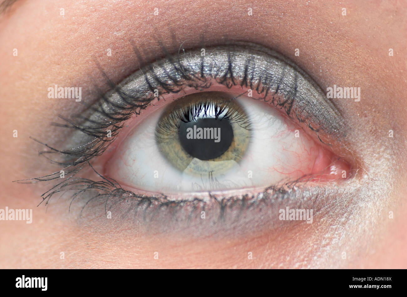 Extreme close up of womans eye with dramatic make up Stock Photo - Alamy