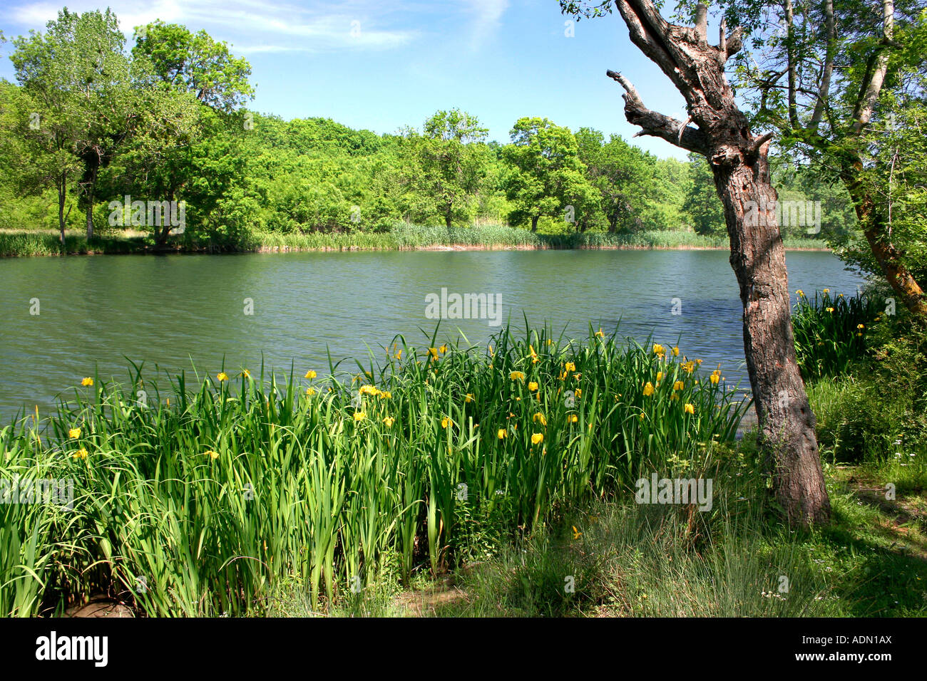 Veleka river, south coast, Bulgaria Stock Photo - Alamy