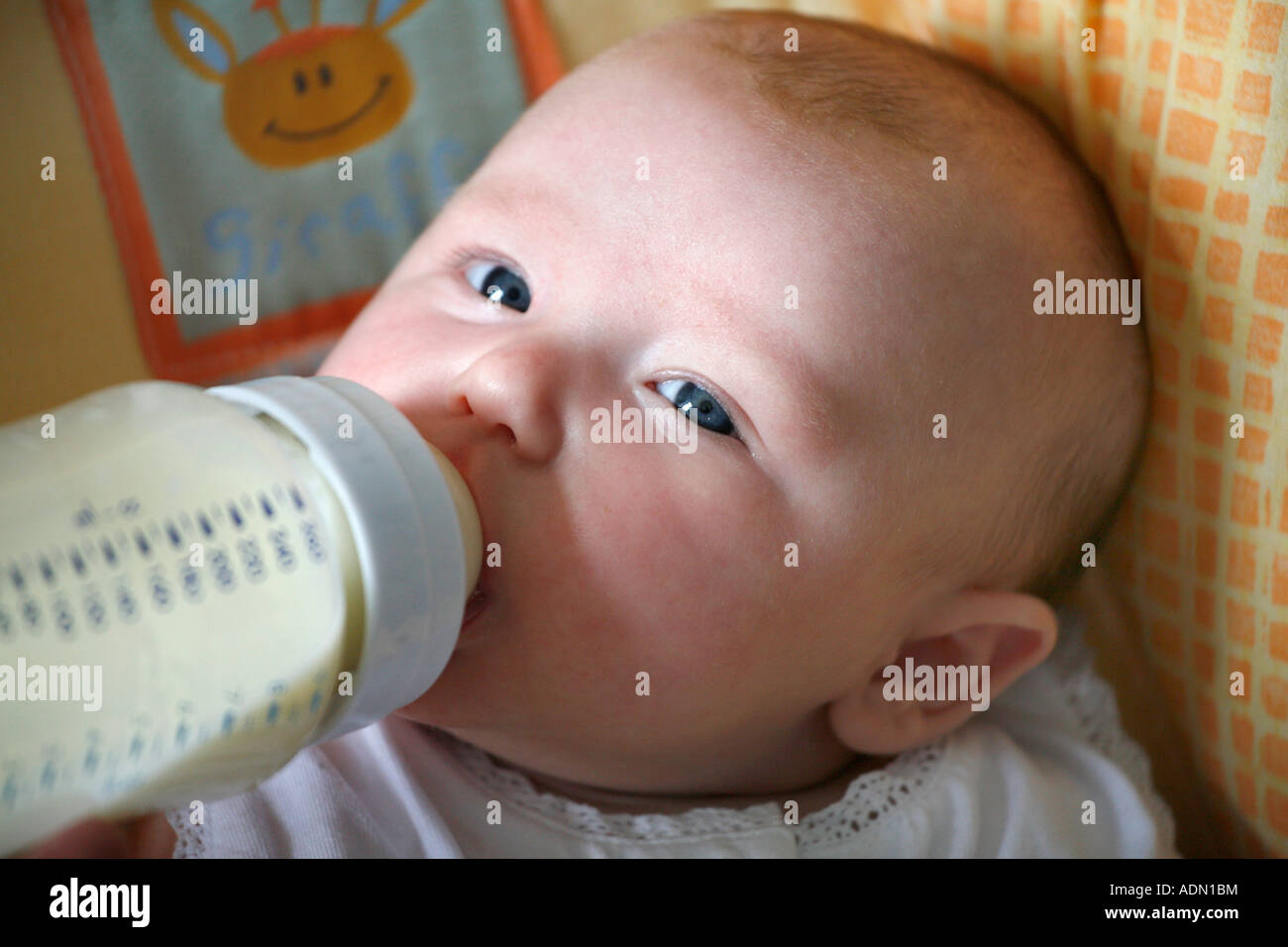 Model Released Ten week old baby girl Stock Photo - Alamy