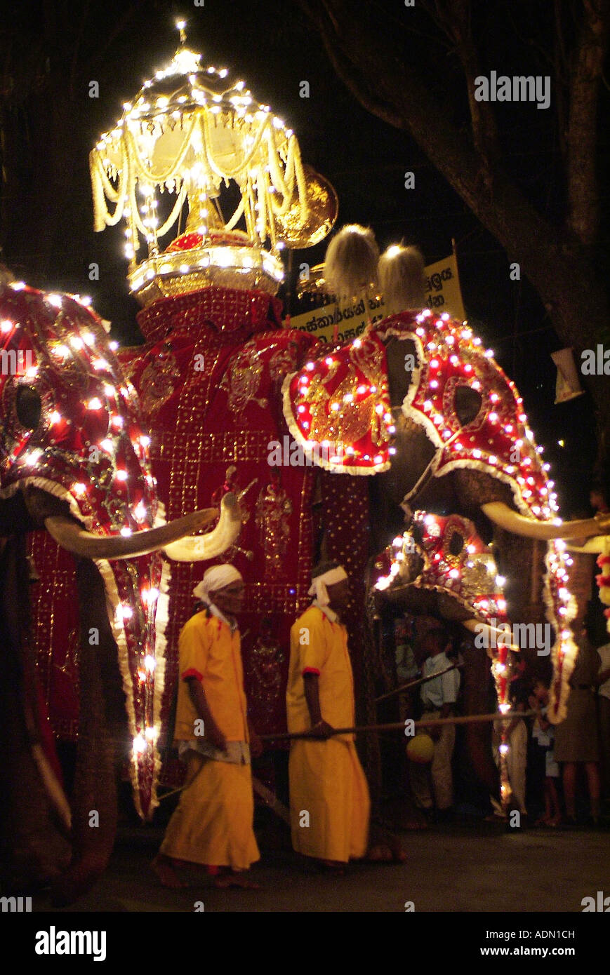 The Asala Perahara August festival in Kandy Sri Lanka Stock Photo - Alamy