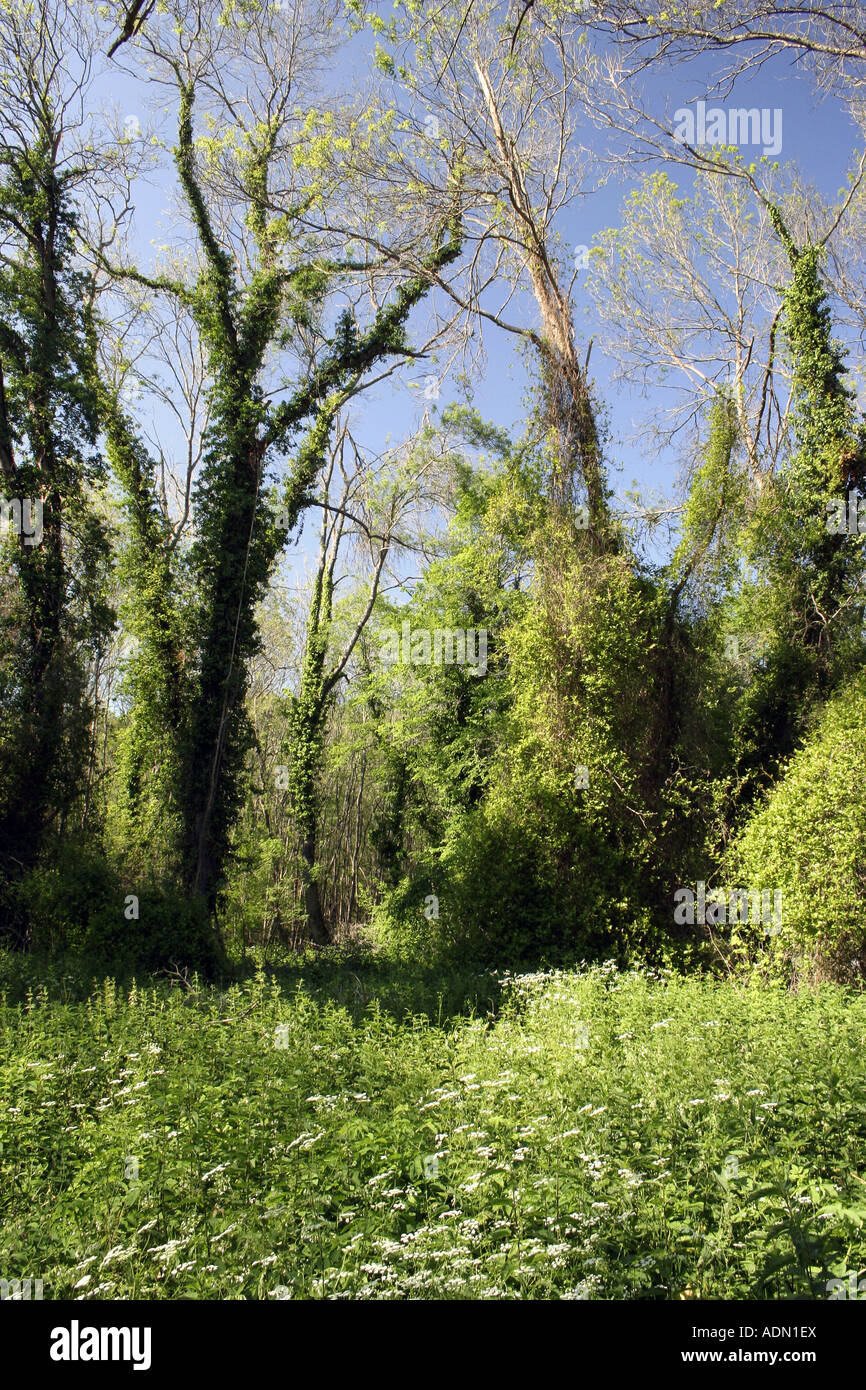 River veleka hi-res stock photography and images - Alamy