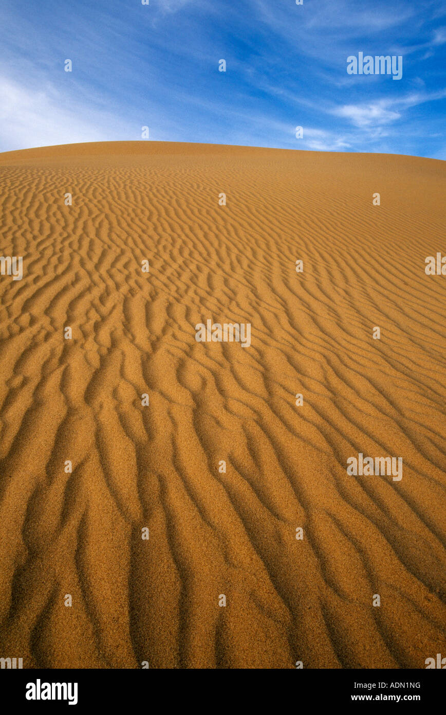 Imperial Sand Dunes National Recreation Area in southern California ...