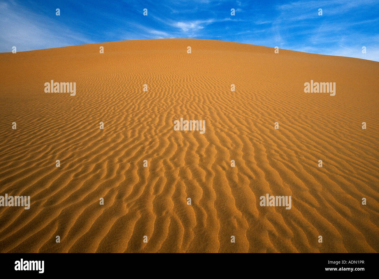 Imperial Sand Dunes National Recreation Area in southern California ...