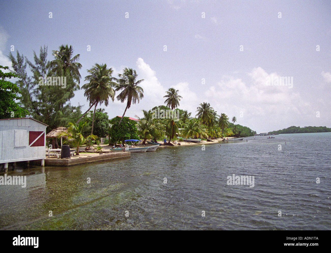 PLACENCIA BELIZE CENTRAL AMERICA August View along the river front ...