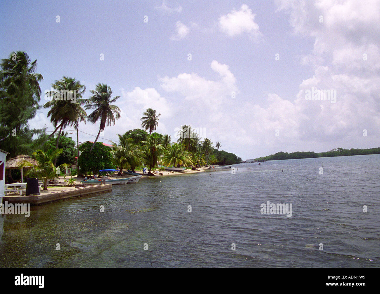 PLACENCIA BELIZE CENTRAL AMERICA August River front houses - Placencia ...