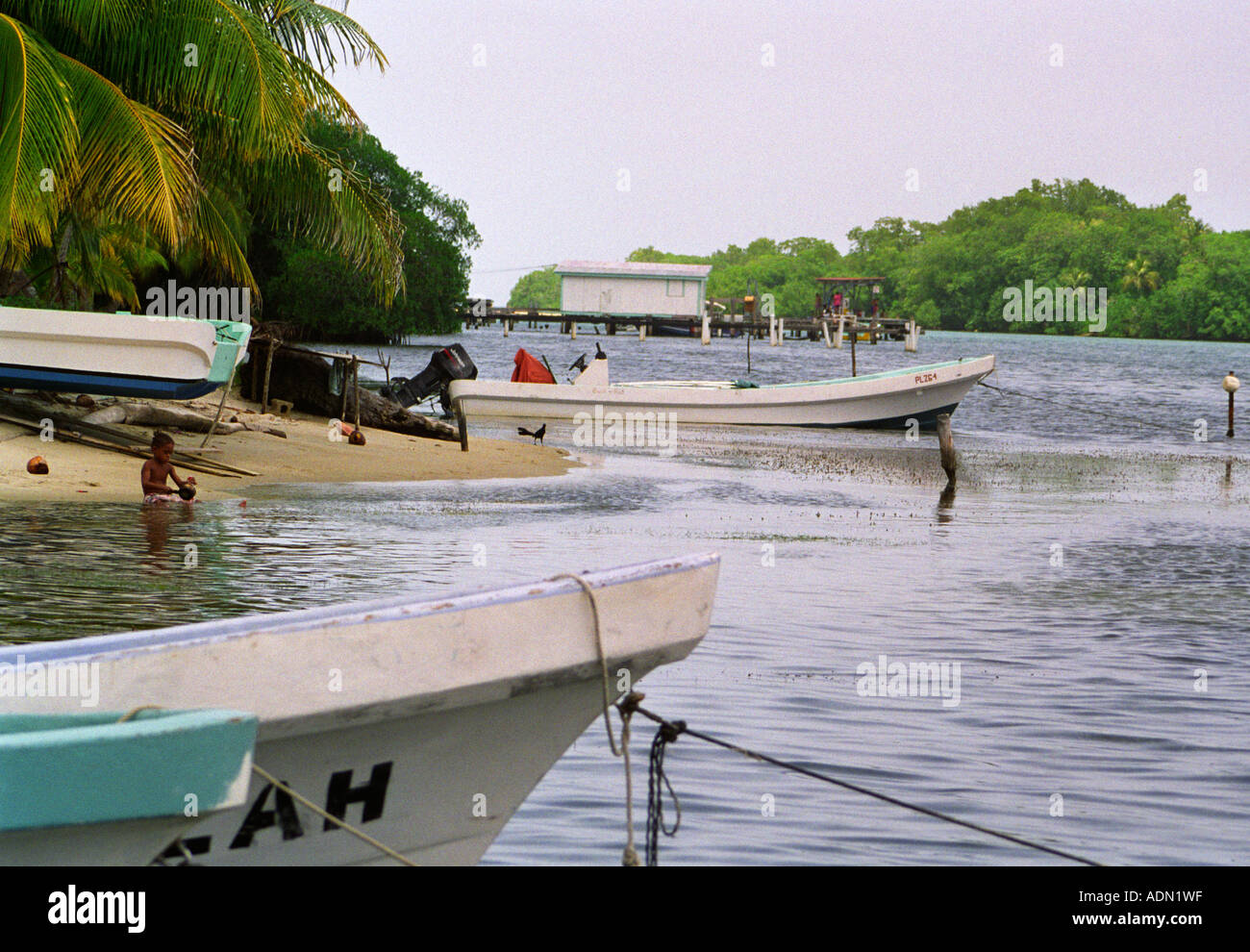 PLACENCIA BELIZE CENTRAL AMERICA August River side resort in one of ...