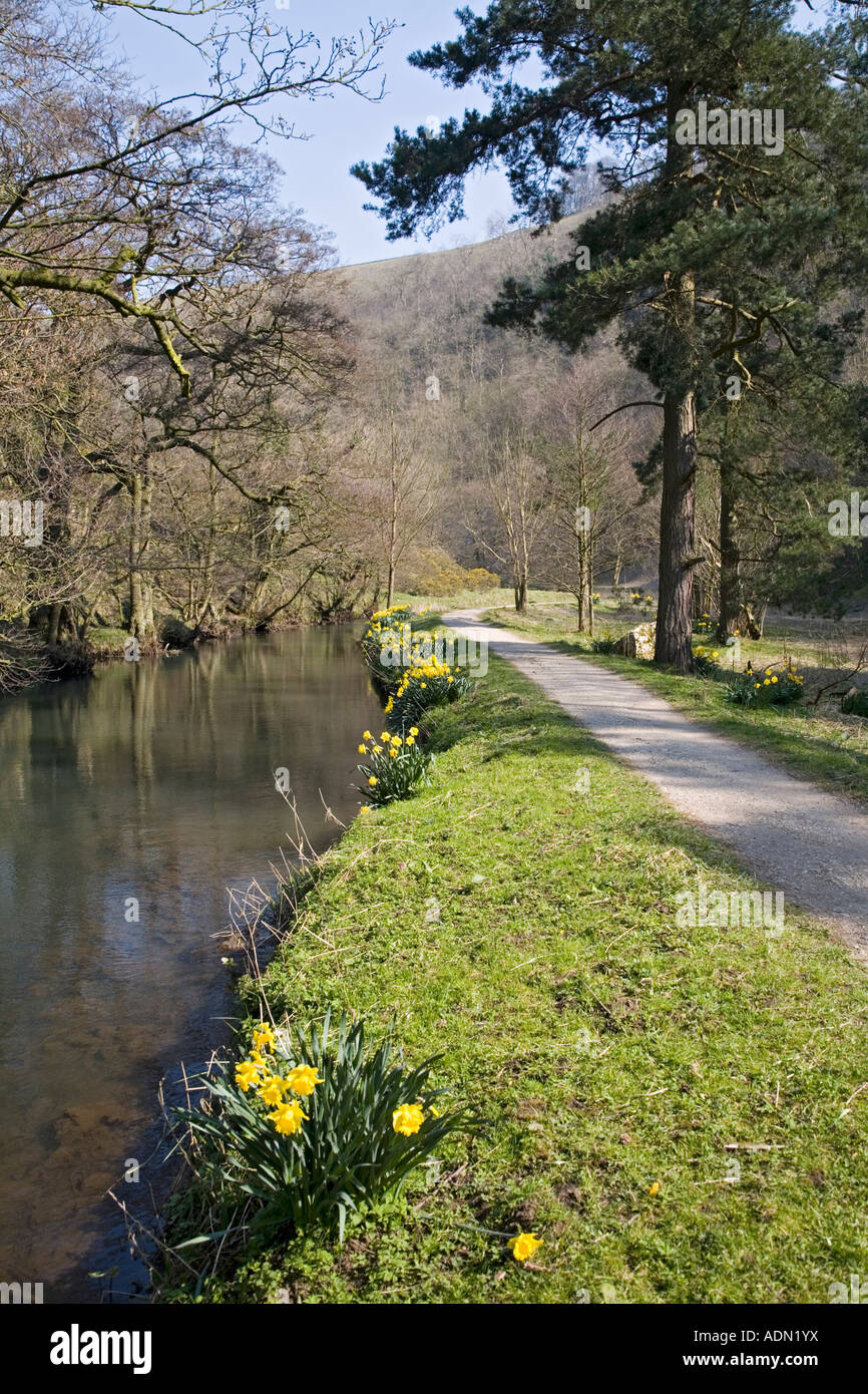 Wolfscote Dale River Dove Peak District National Park Derbyshire Stock ...