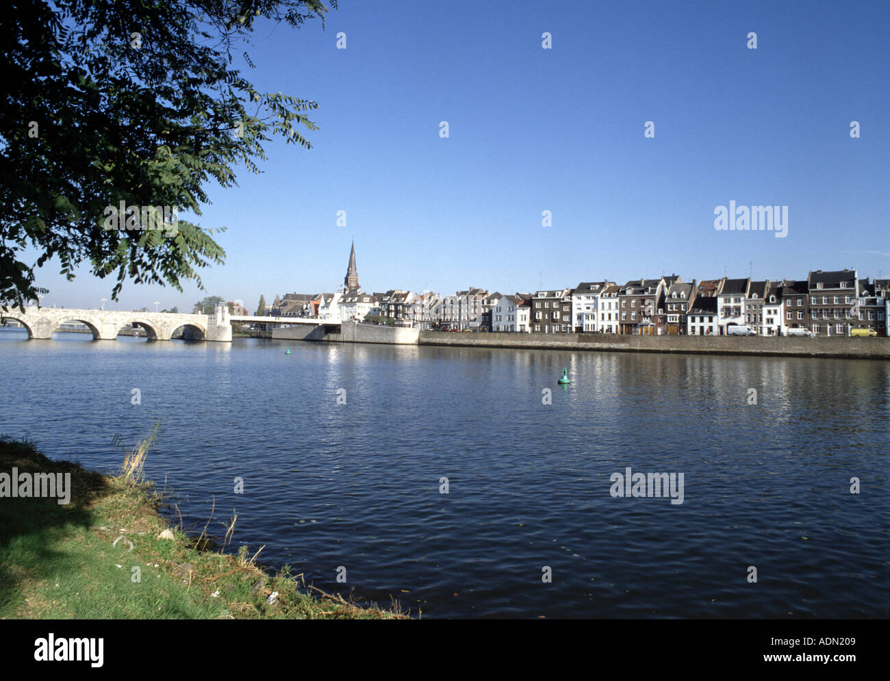 Fluss maas maas hi-res stock photography and images - Alamy