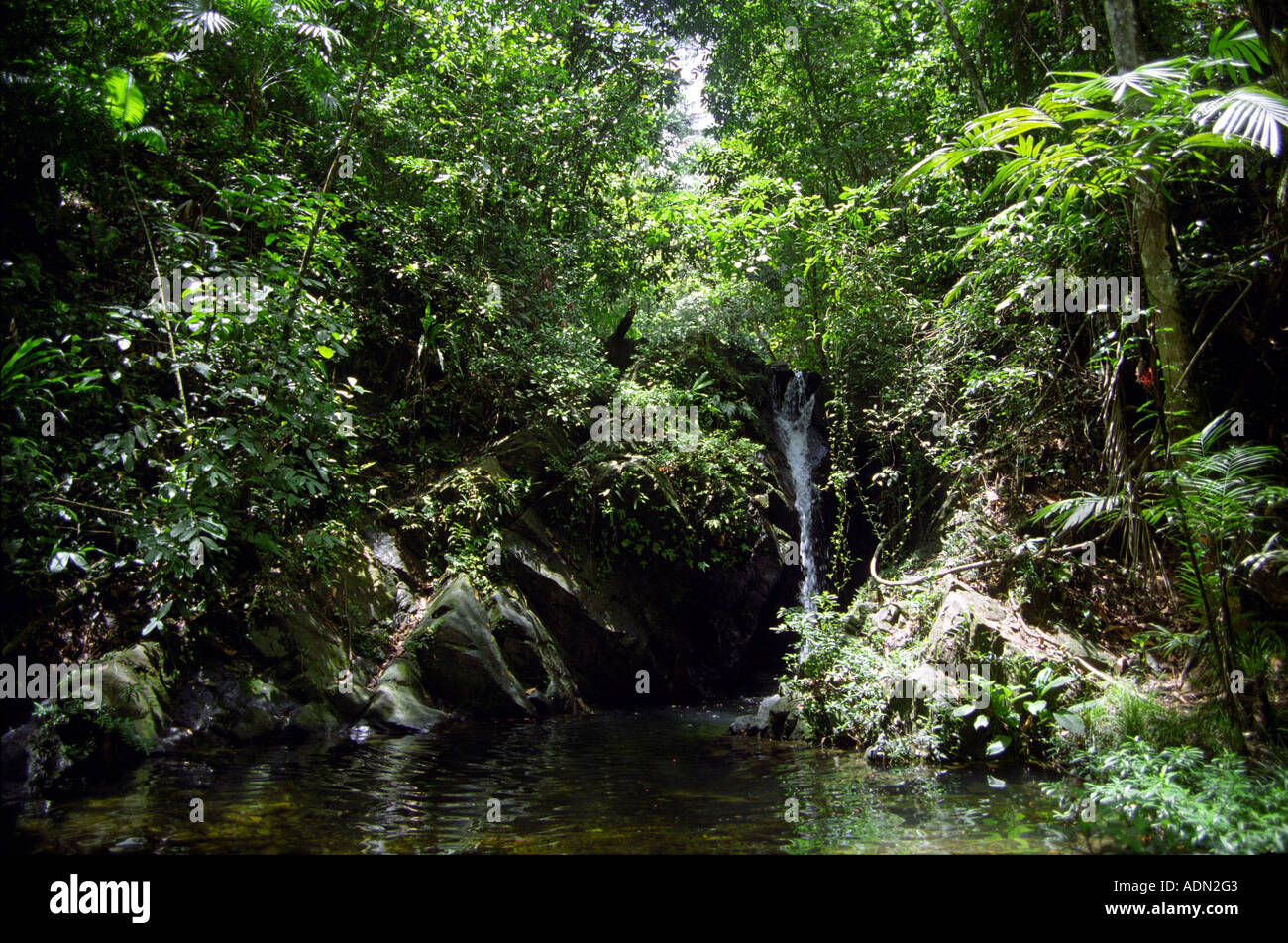 Cockscomb basin wildlife sanctuary hi-res stock photography and images ...