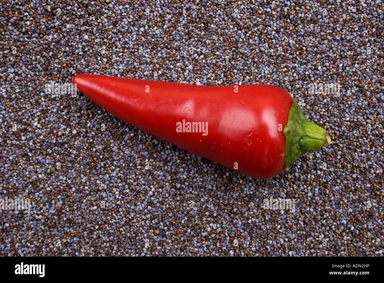 One red chili hi-res stock photography and images - Alamy