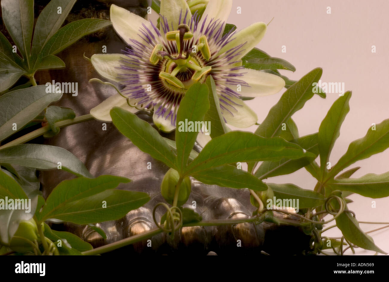 Flowers at foot of cross hi-res stock photography and images - Alamy