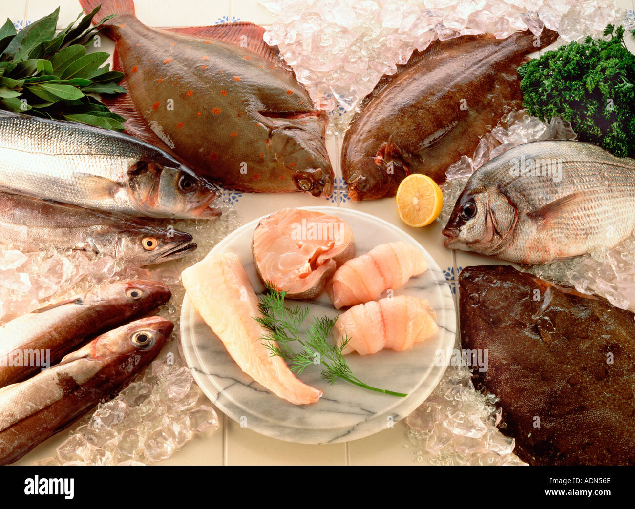 Fishmongers fish counter hi-res stock photography and images - Alamy