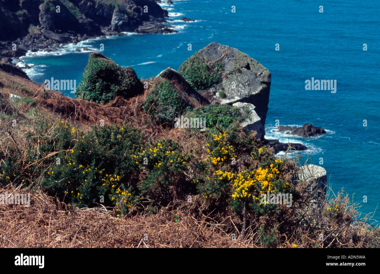 North cornwall cliff top path hi-res stock photography and images - Alamy