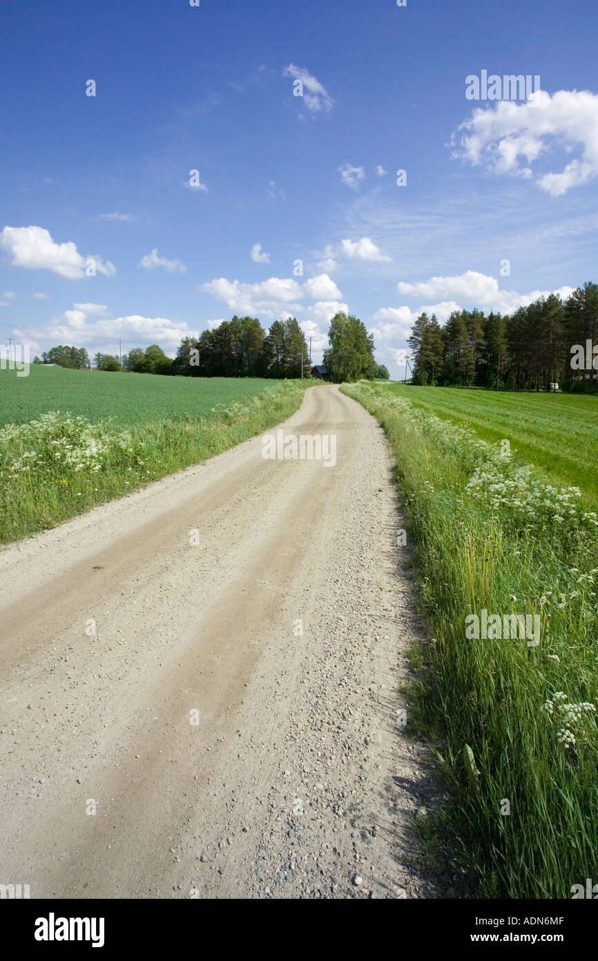 narrow rural road, Finland Stock Photo - Alamy