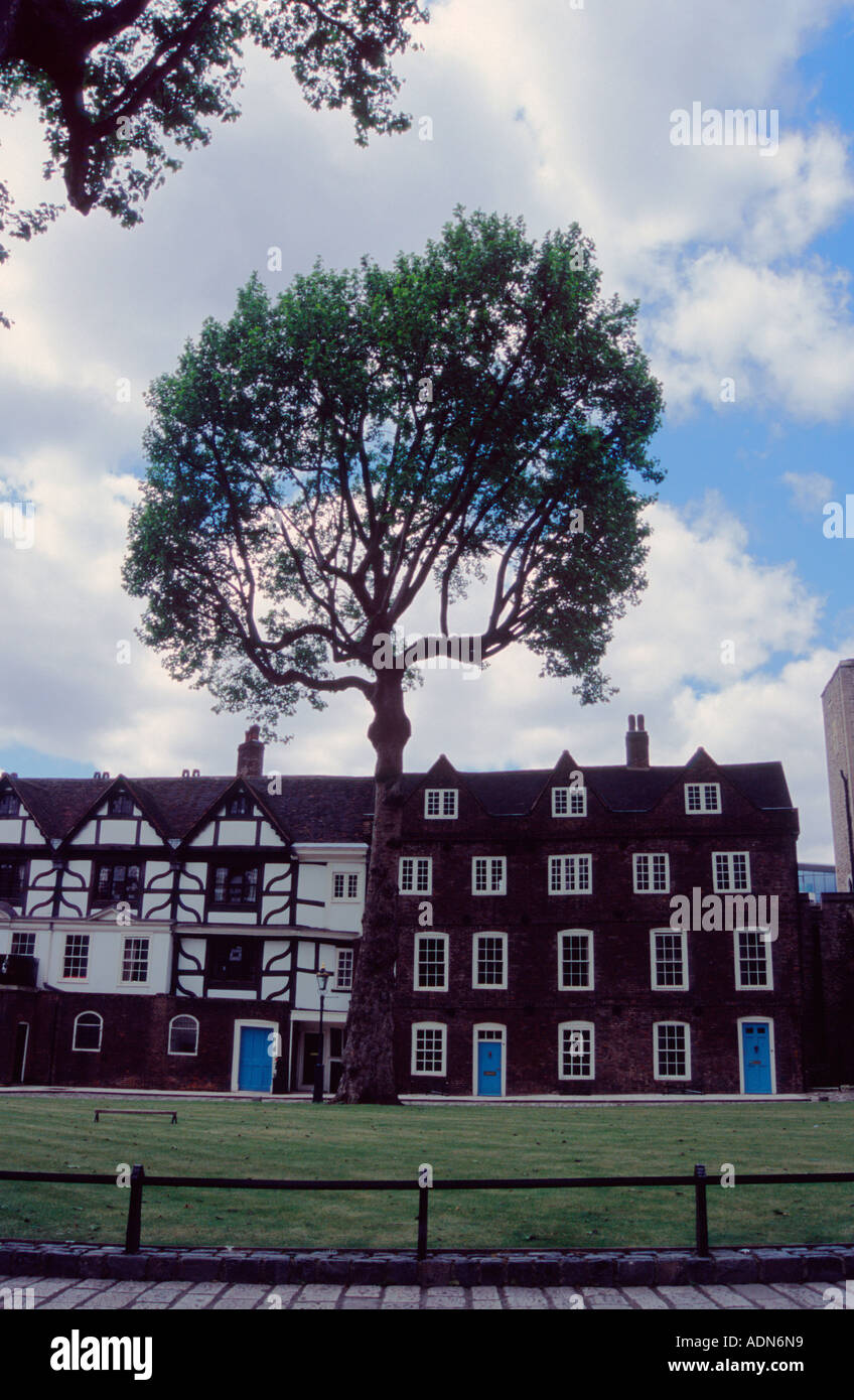 Yeoman of the Guard houses, the Tower of London, UK Stock Photo - Alamy