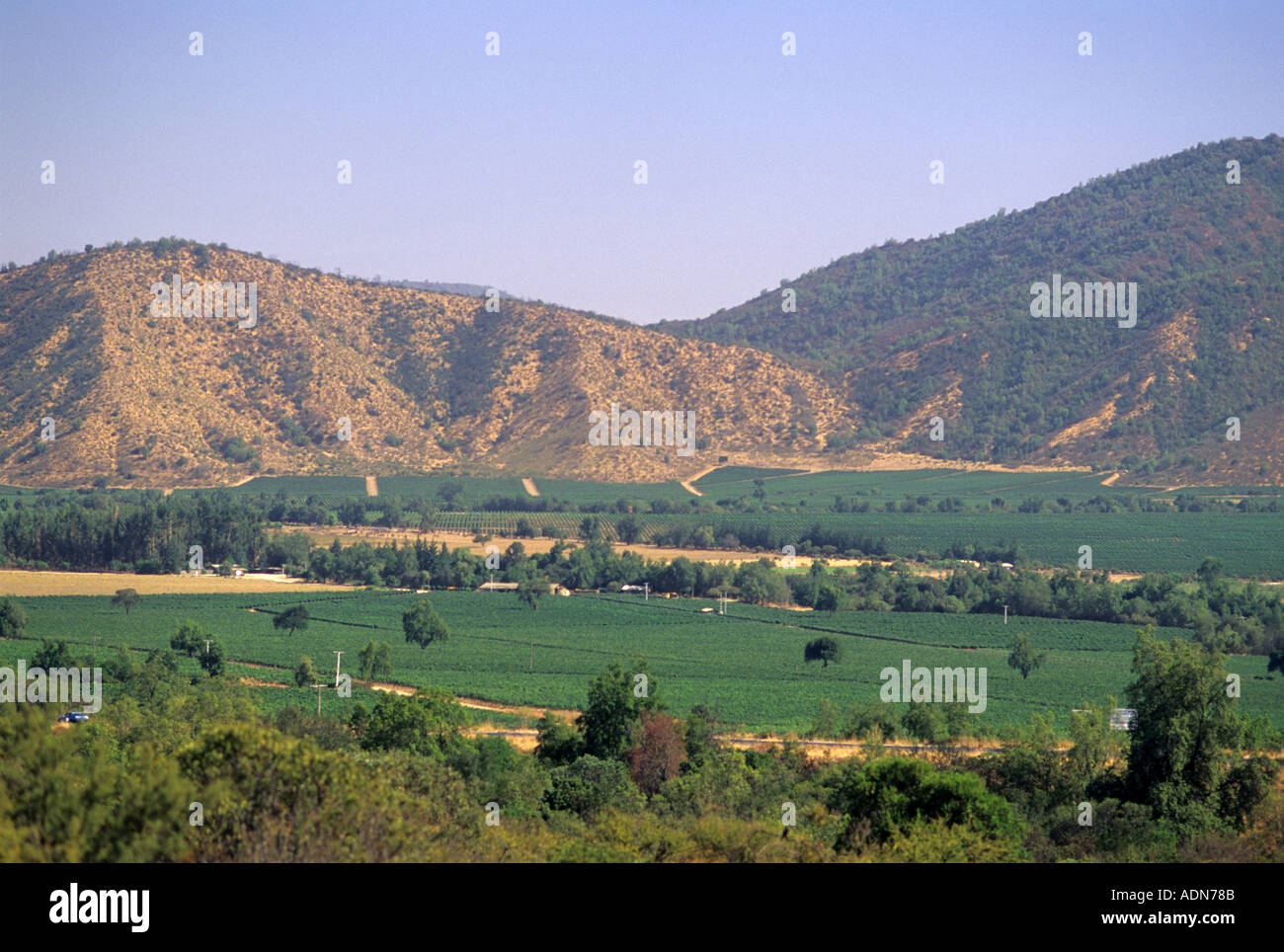 Agriculture in Central Valley Chile Stock Photo - Alamy