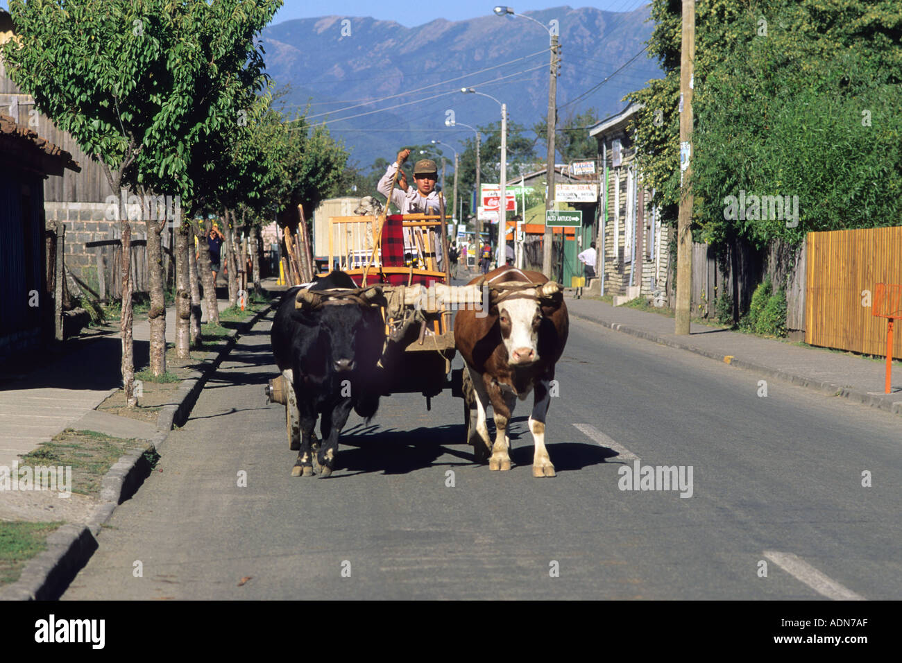 Riding ox cart hi-res stock photography and images - Alamy