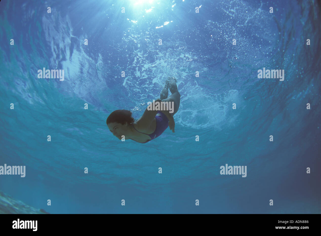 Woman freediving underwater holding hi-res stock photography and images ...