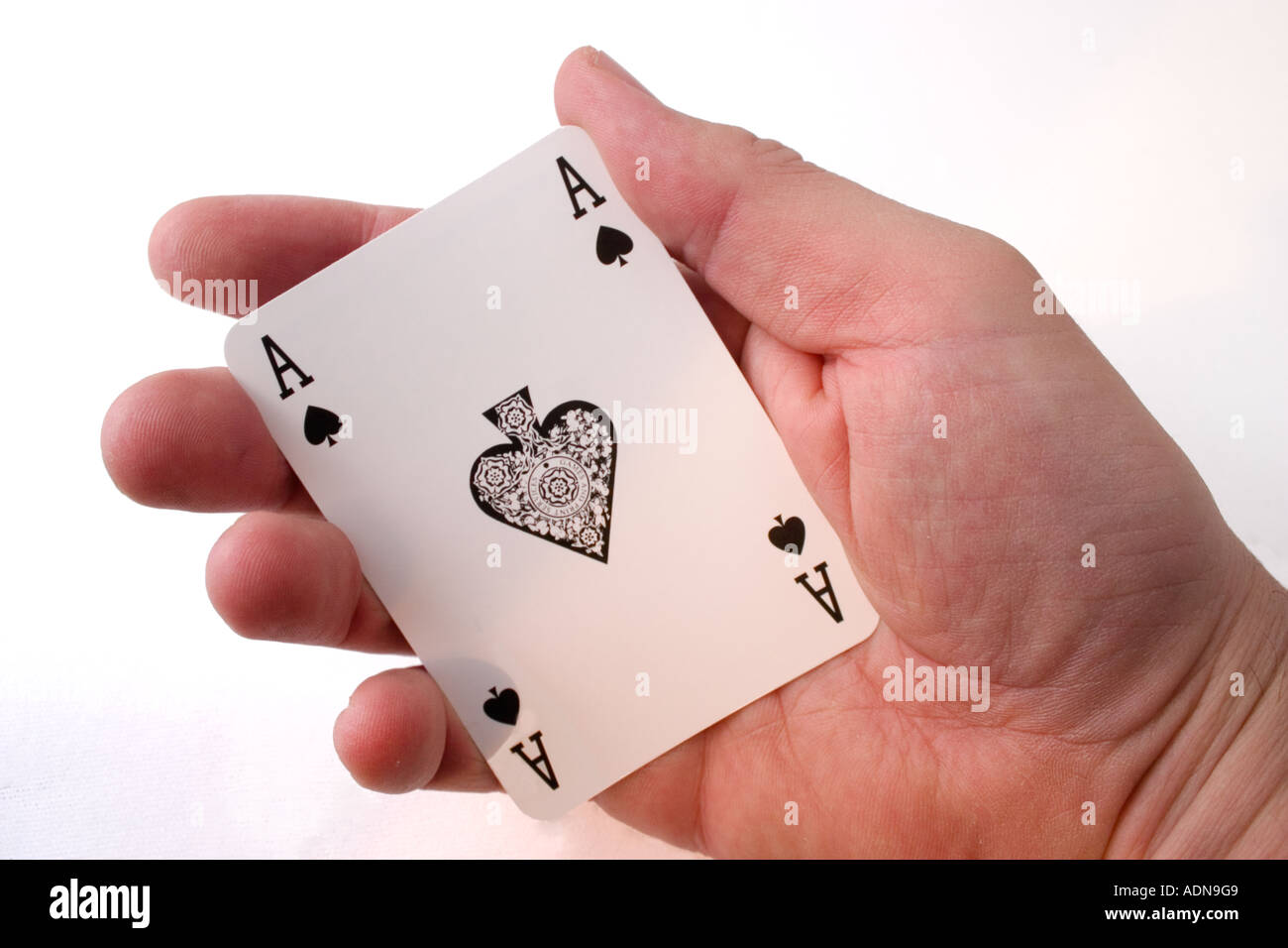 Hand holding card Stock Photo - Alamy