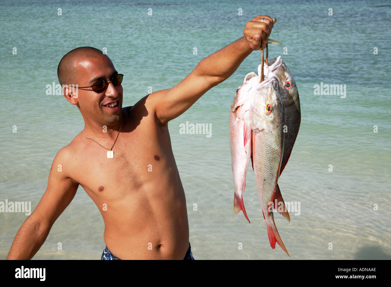 Man holding up three Pargo fish at Cayo Jutia Pinar Provine Cuba Stock ...
