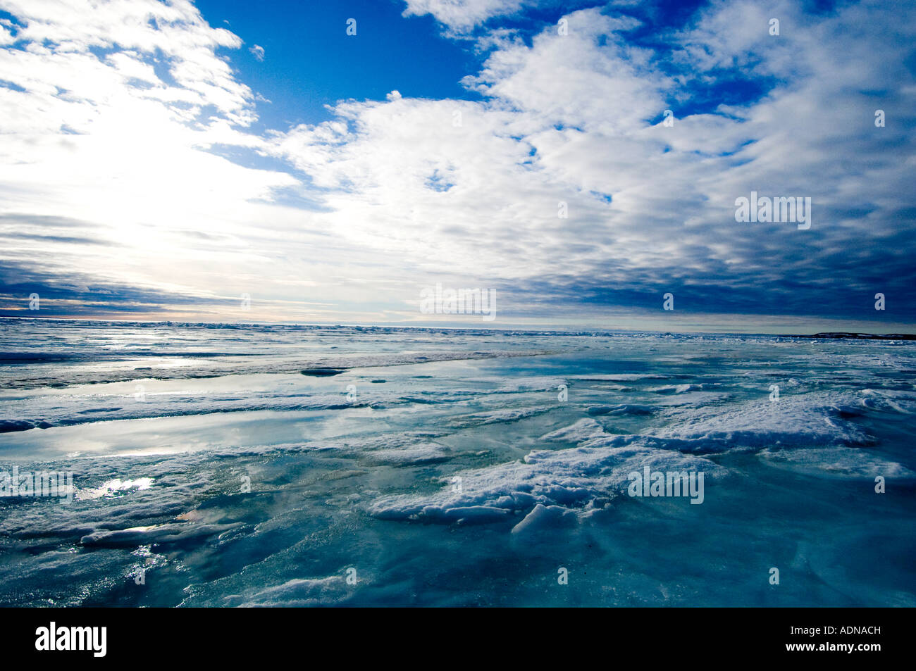 Melt water lies on the surface of the sea ice warmed by the sun. Navy ...