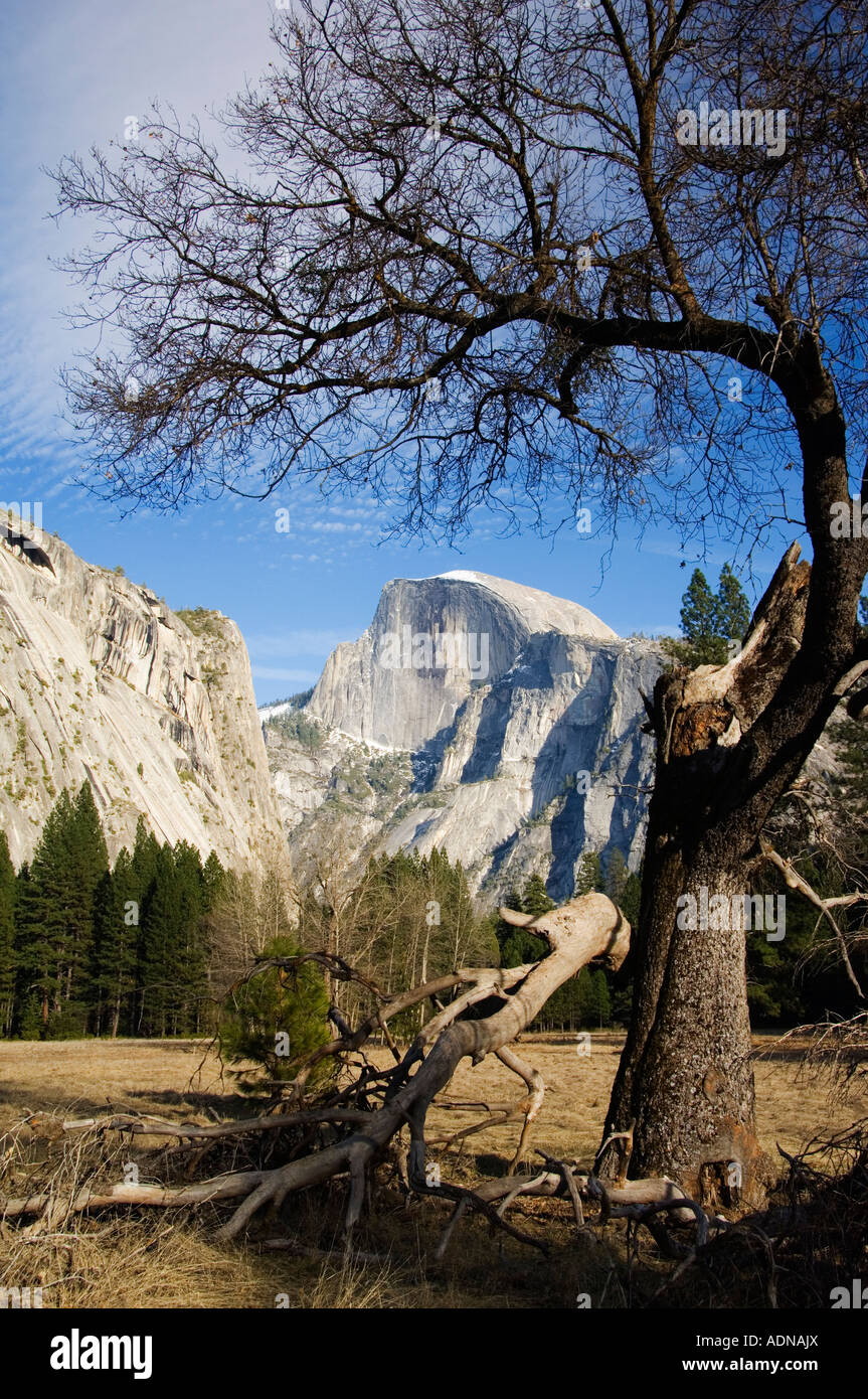 USA California Yosemite National Park Granite Wall of Half Dome Peak ...