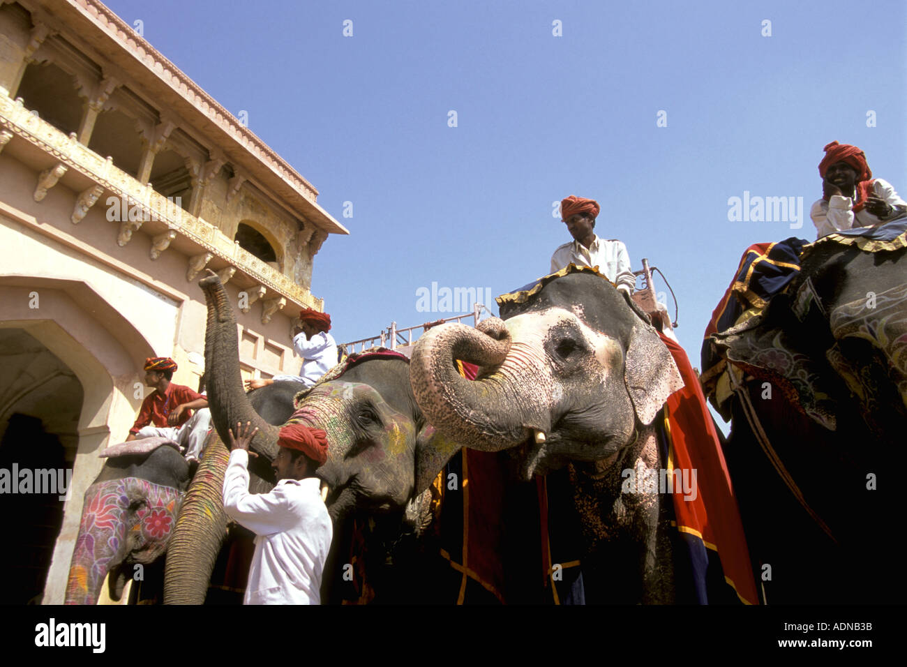 Indian Elephants With Riders High Resolution Stock Photography and ...