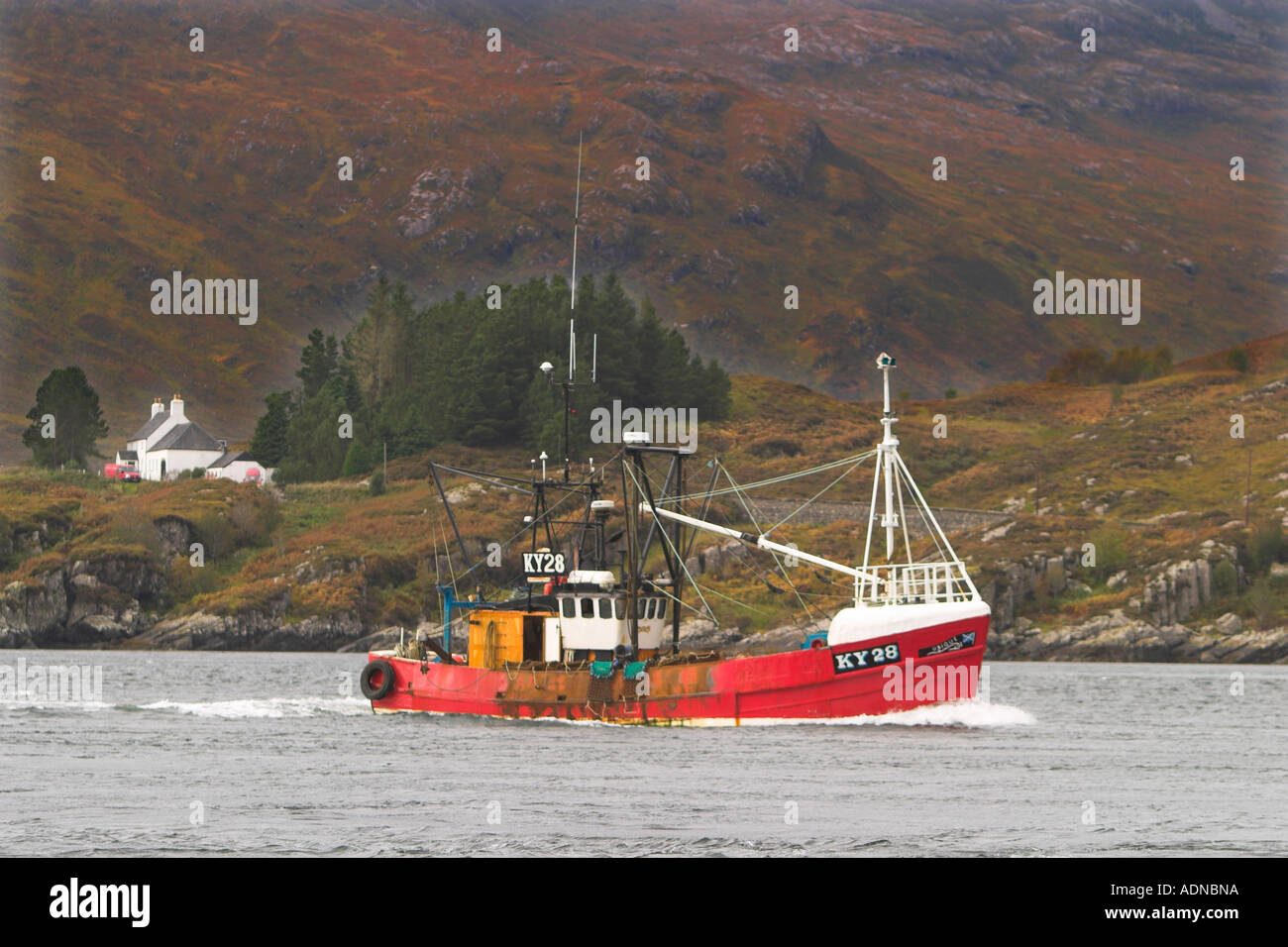 A fishing trawler on its way home through the Gleneig Bay in the ...