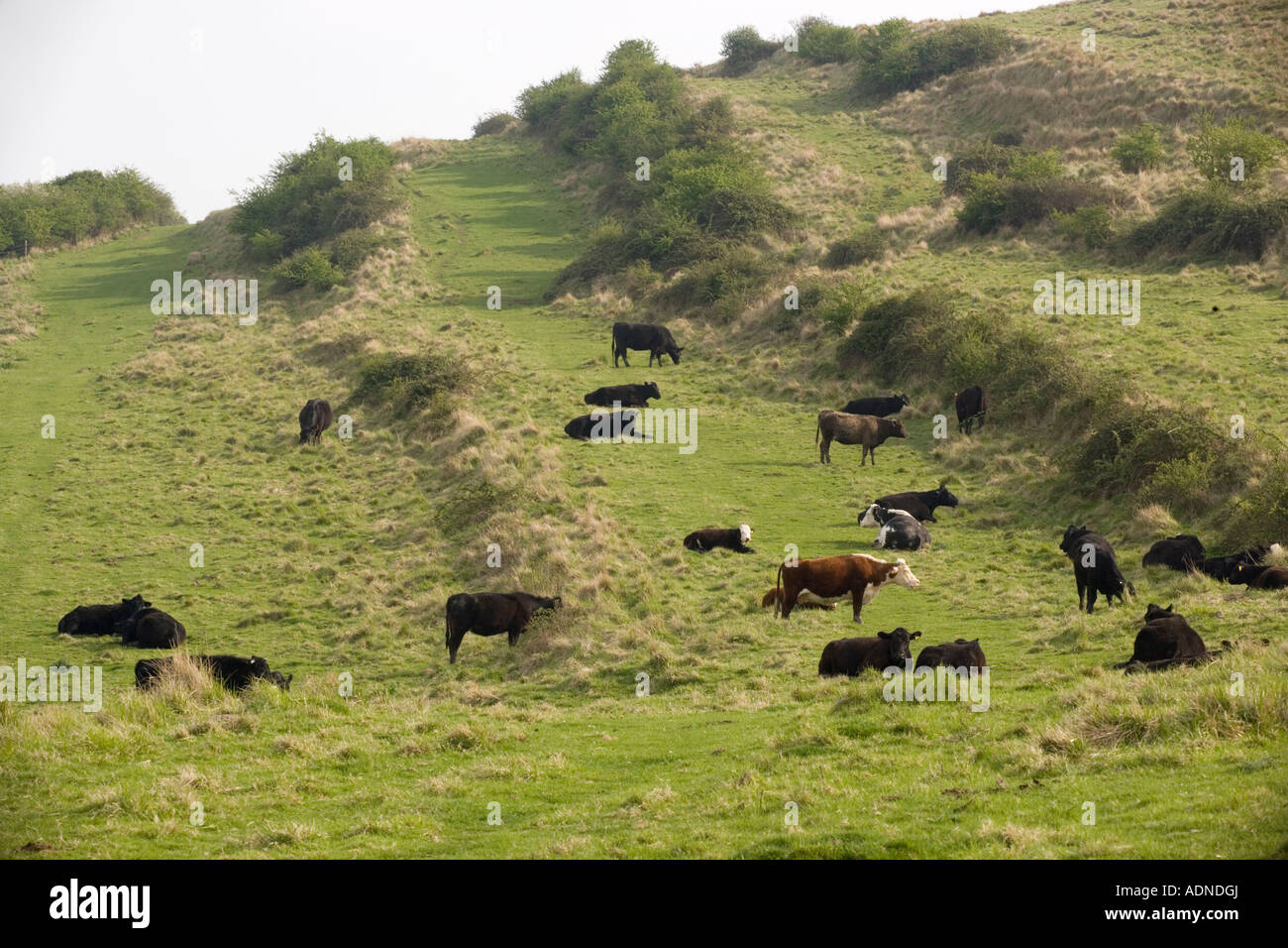 Medieval Agriculture Stock Photos & Medieval Agriculture Stock Images ...